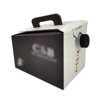 China Customized BIB bags in Box made from eco friendly materials ensuring safe packaging and extended shelf life for liquids for sale