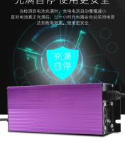 China 12v 24v 36v 48v Automatic Intelligent Lithium Li-ion Battery Chargers 10A 7A 5A 4A for sale
