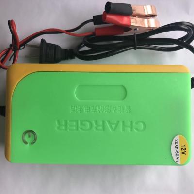 China 12v Full Intelligent Quick Charging Motorcycle Charging Car Battery Automatic Pulse Repair for sale