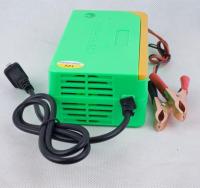 China 12v Full Intelligent Quick Charging Motorcycle Charging Car Battery Automatic Pulse Repair for sale