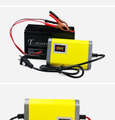 China High efficiency powerful SMART battery charger 12v/24v 5A 10A 20Amp for lead acid battery for sale