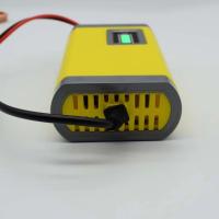 China Automatic 24V 14A Pulse Repair Battery Charger 12v Battery Pulse Charger for sale