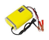 China Automatic 24V 14A Pulse Repair Battery Charger 12v Battery Pulse Charger for sale