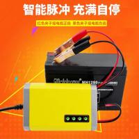 China Microprocessor Control Travelscoot Battery Charger CE Input AC 180-220V 50Hz for sale