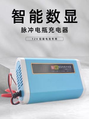 China MULTI-STAGE LCD Display 6V/12V 0.8A/3.8A Smart Fully Automatic Battery Float charger / Maintainer for sale