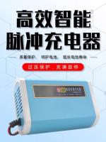 China MULTI-STAGE LCD Display 6V/12V 0.8A/3.8A Smart Fully Automatic Battery Float charger / Maintainer for sale