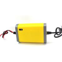 China 12v 24v Lead Acid Battery Chargers Smart Charge Intelligent Battery Charger for sale