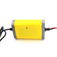 China 12v 24v Lead Acid Battery Chargers Smart Charge Intelligent Battery Charger for sale