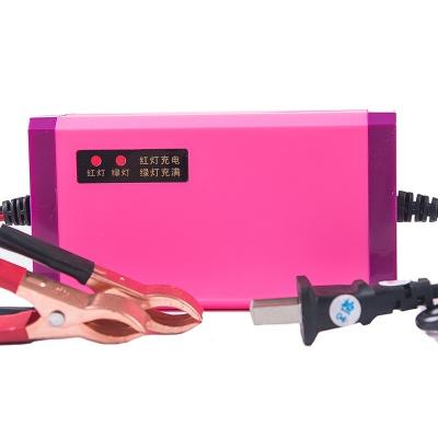China Portable 12V Lead Acid Battery Chargers For Universal EV Golf Car for sale