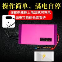 China Portable 12V Lead Acid Battery Chargers For Universal EV Golf Car for sale