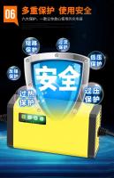 China 12V 15A 300W Lead Acid Battery Chargers Pulse Repair Temperature Control for sale