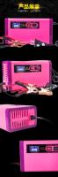 China Gooa quality lead acid 12v to o24v smart charger 10a  electric rechargeable battery charger 40a for sale