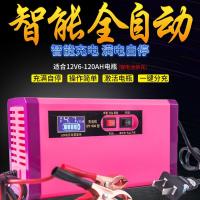 China Car 200AH Motorcycle Battery Charger 12V10A EU AU UK US for sale