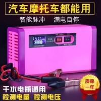 China Smart Lead Acid Motorbike Battery Trickle Charger 220v Dc For Electric Scooter for sale