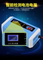 China 24 Volt 12v10a 3p Intelligent Car Battery Charger for sale