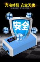 China 24 Volt 12v10a 3p Intelligent Car Battery Charger for sale