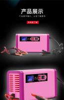 China 12v10a Motorcycle Smart Charger for sale