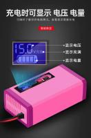 China 12v10a Motorcycle Smart Charger for sale