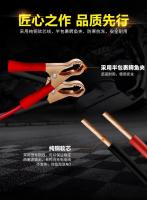China 12v 24v Lifepo4 Intelligent Car Battery Charger Smart Two Types for sale