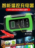 China Big 12V 24V 10A 8A Commercial Truck Battery Charger Automatic Switching for sale