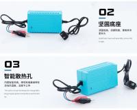 China 12V 48V 1A 6A Lead Acid Battery Chargers for sale