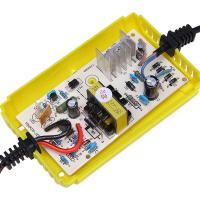 China Smart 12v10a 24v5a 36v3a 48v2.5a Lifepo4 Battery Pack Charger for sale