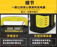 China Lead Acid 10AH 200AH Intelligent Car Battery Charger for sale