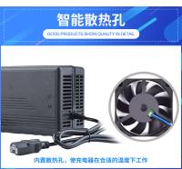 China 624550659431/3 Lithium Ion 48v Battery Charger Lithium Battery Charger 24v Automatic Smart Car Lifepo4 Lithium Ion 12/ for sale