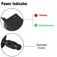 China Li Ion 12 24V Lithium Battery Car Charger 48V Universal Rechargeable for sale