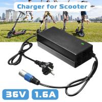 China 36V 1.6A Lithium Ion Battery Chargers 3pin XLR Male Scooter for sale