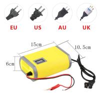 China Lead Acid Universal 12V Battery Chargers Automotive ABS PC Shell for sale