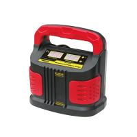 China 12V 24V Lead Acid Battery Booster Charger 14A Pulse Repair For VRLA SLA AG for sale