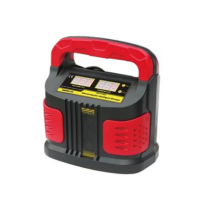 China 12V 24V Lead Acid Battery Booster Charger 14A Pulse Repair For VRLA SLA AG for sale