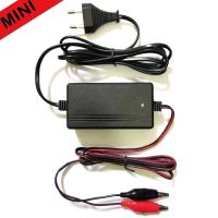 China Auto Motorcycle Intelligent Mini 9w 12v Car Battery Charger Acid Lead for sale