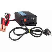China Universal Automatic 3 Stages Car Acid Battery Charger 90V 250V 24V 48V 10A 20A for sale