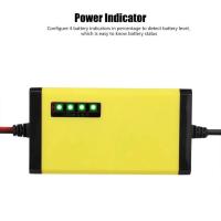 China Fully Intelligent Pulse Repair Battery Charger Overheating Protection for sale