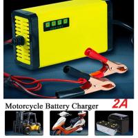 China Fully Intelligent Pulse Repair Battery Charger Overheating Protection for sale