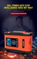 China GEL WET AGM 12.6V Lifepo4 Lithium Phosphate  Battery Charger for sale
