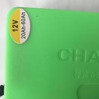 China 24v 20a Microcomputer Intelligent Pulse Repair Battery Charger for sale