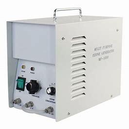 China 60min Portable Ozone Generator ABS Housing  200g/H Output for sale