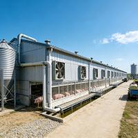 China Heavy Duty Agricultural Steel Frame Building for Greenhouse Construction for sale