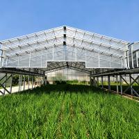 China Q235B Q355B ASTM A36 Steel Frame Farm Buildings Prefabricated Fireproof Coating for sale