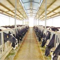 China Customizable Dimensions Corrosion Resistant Prefabricated Steel Structure Building for Fast Construction Speed in Agricultural Applications for sale