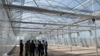 China Wind Resistance Snow Load Capacity Hot-Dip Galvanized Steel Agricultural Greenhouse Steel Frame Building for sale