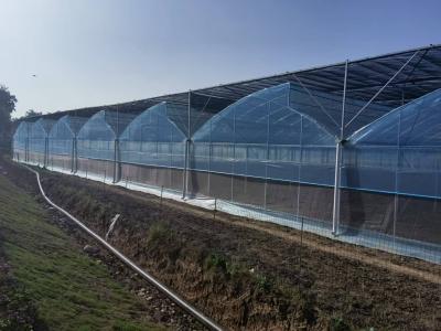 China Customizable Hot Dip Galvanized Steel Frame Greenhouse with Wind Resistance 120 km/h for Agricultural Steel Structure for sale