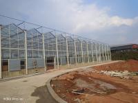 China Commercial Steel Frame Greenhouse with Hot-dip Galvanized Steel, Customizable Span, and Wind Resistant Design for sale