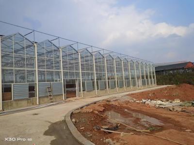 China Commercial Steel Frame Greenhouse with Hot-dip Galvanized Steel, Customizable Span, and Wind Resistant Design for sale