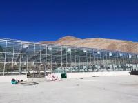 China Hot-dip Galvanized Steel Greenhouse for Vegetable Farming with Customizable Span and Integrated Environmental Control for sale