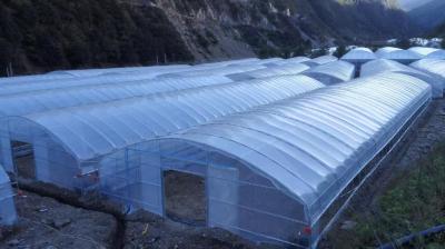 China Hot-dip Galvanized Steel Structure Greenhouse with High Wind Load Resistance and Modular Design for Farming for sale