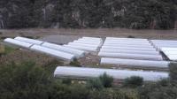 China High-strength Hot-dip Galvanized Steel Frame Greenhouse with Wind and Snow Load Resistance and Modular Design for Agriculture for sale